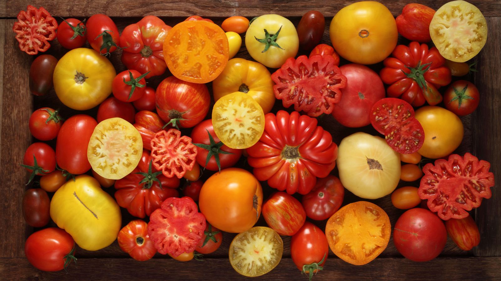 Para os Maiores e Mais Suculentos Tomates, Experimente Estas 11 Variedades