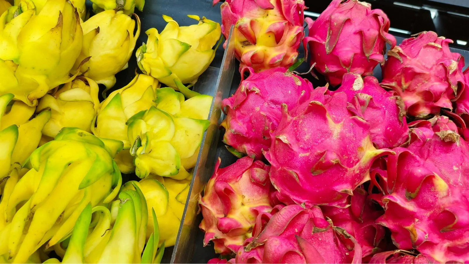 7 Melhores Variedades de Pitaya para o Jardim de Casa